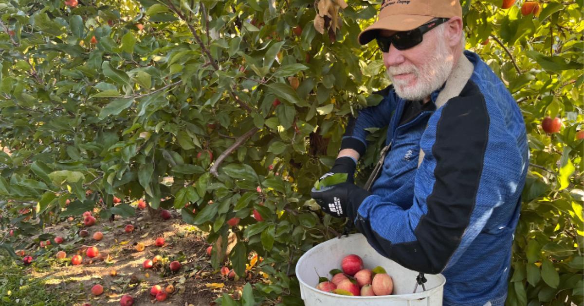 MFB, others team up to pick apples to help end hunger | Michigan Farm ...