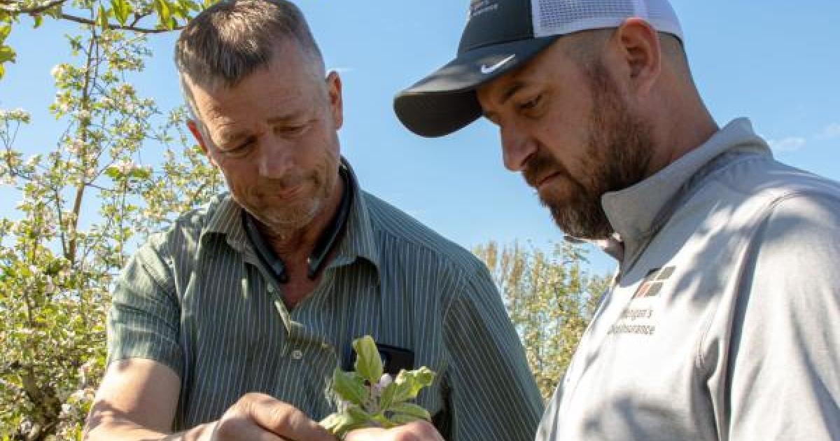 Budget hawks, environmental groups zero in on crop insurance in 2023 ...