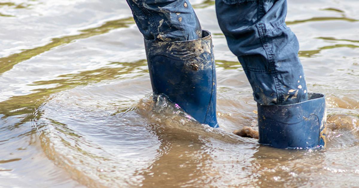Members save 17% off work boots from Grainger | Michigan Farm Bureau ...
