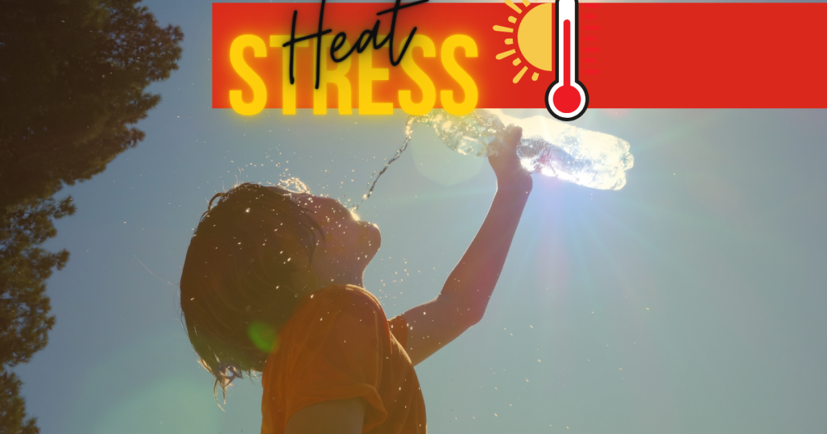 Heat Stress: How to Stay Safe in Extreme Heat | Michigan Farm Bureau ...